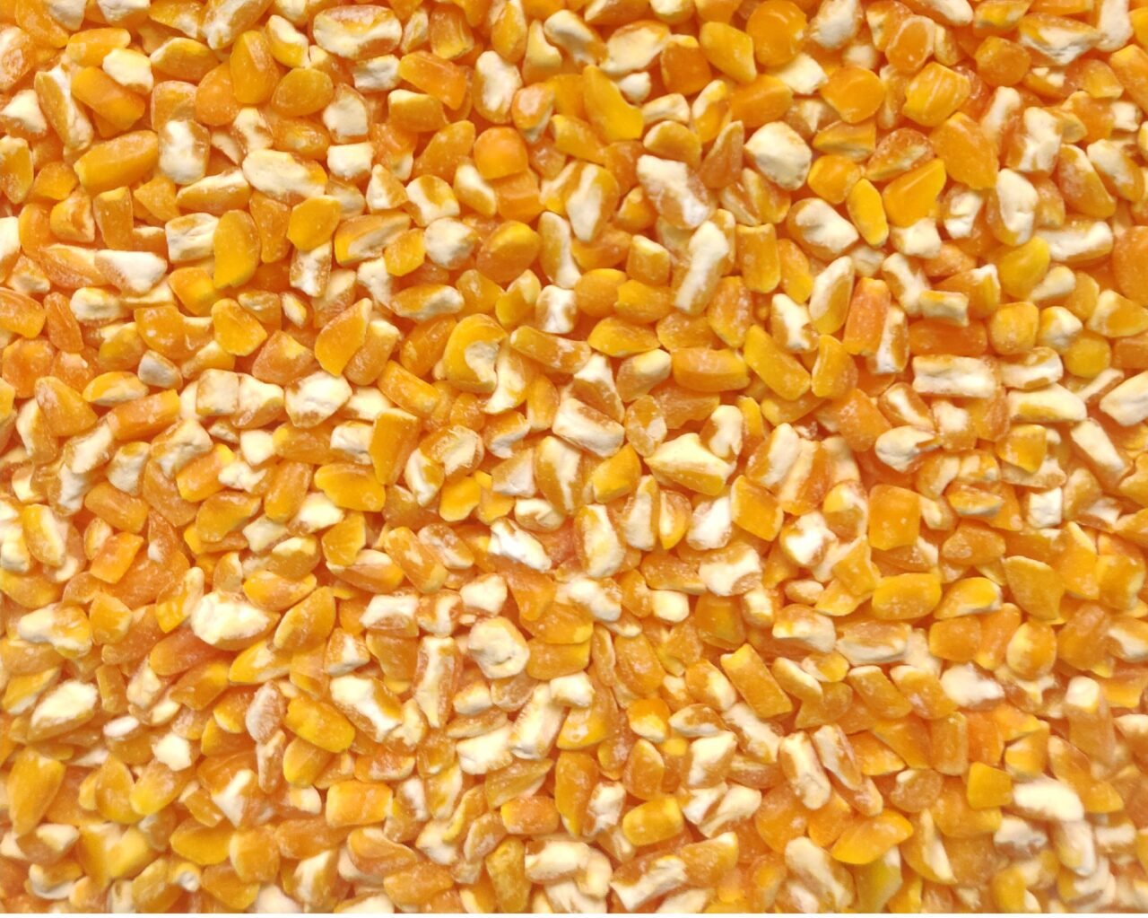 Broken Maize - Nutrich Corn Grits