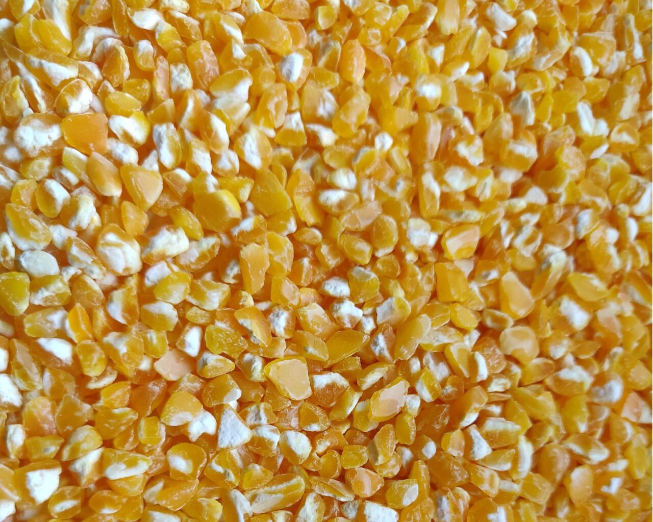Broken Maize - Nutrich Corn Grits